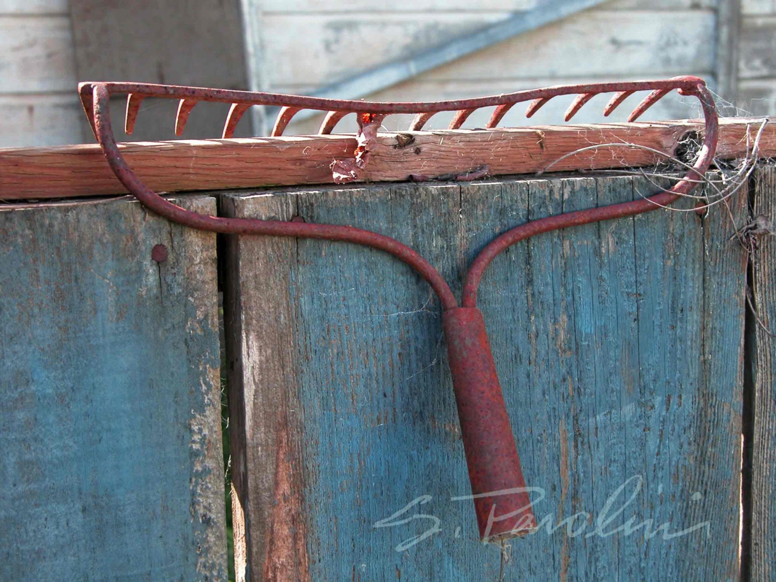 Rusty Old Red Rake Photograph Fence Rustic Outdoor - Etsy