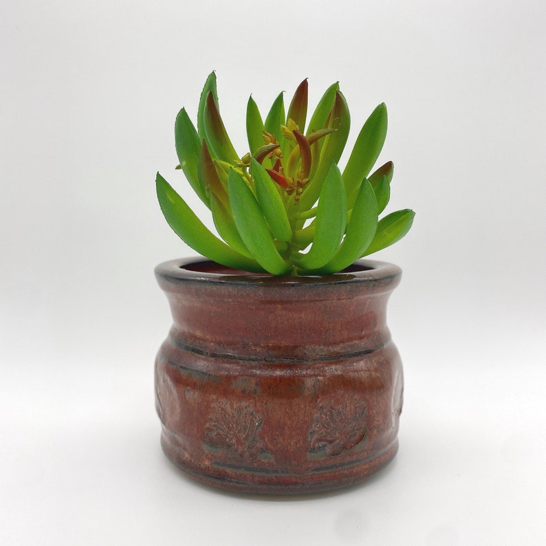 Ceramic Planter Succulent Planter Small Indoor Planter Red Planter - Etsy