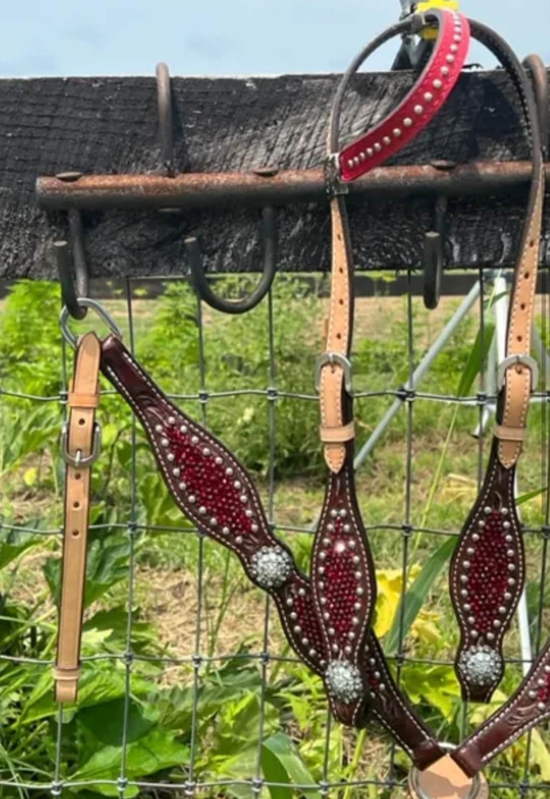 Ruby Red Crystal One Ear Bling Bridle Breast Collar Set Barrels Horse ...