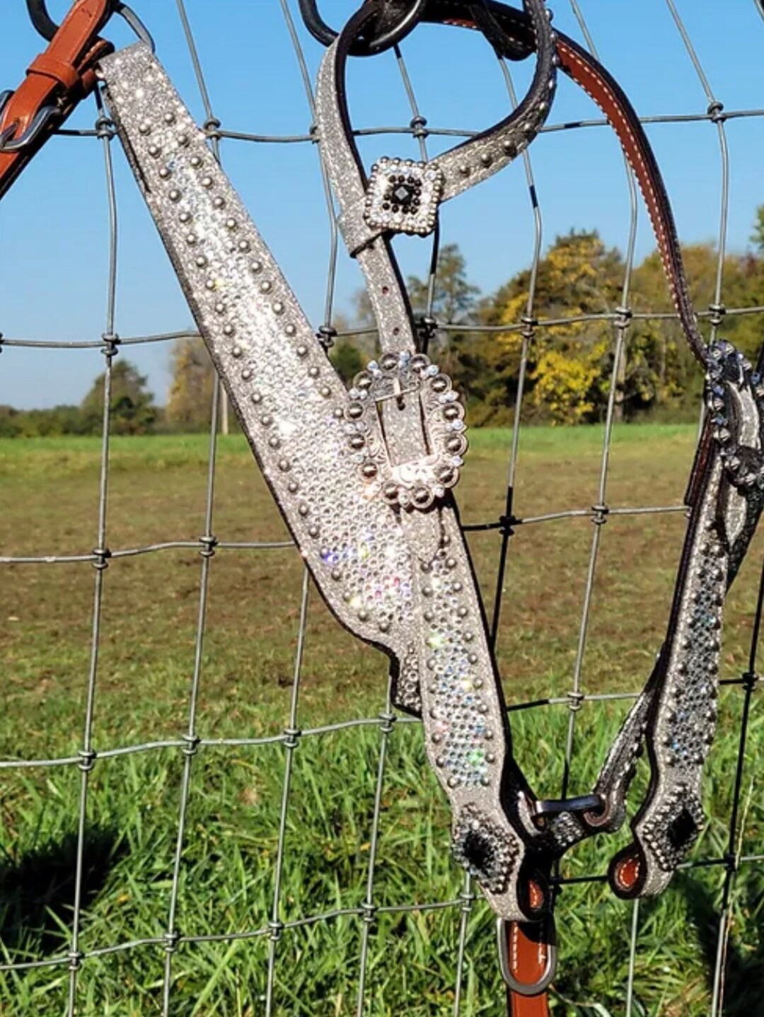 Clear Crystal Bridle Breast Collar Set Western Horse Show Trail Barrels ...