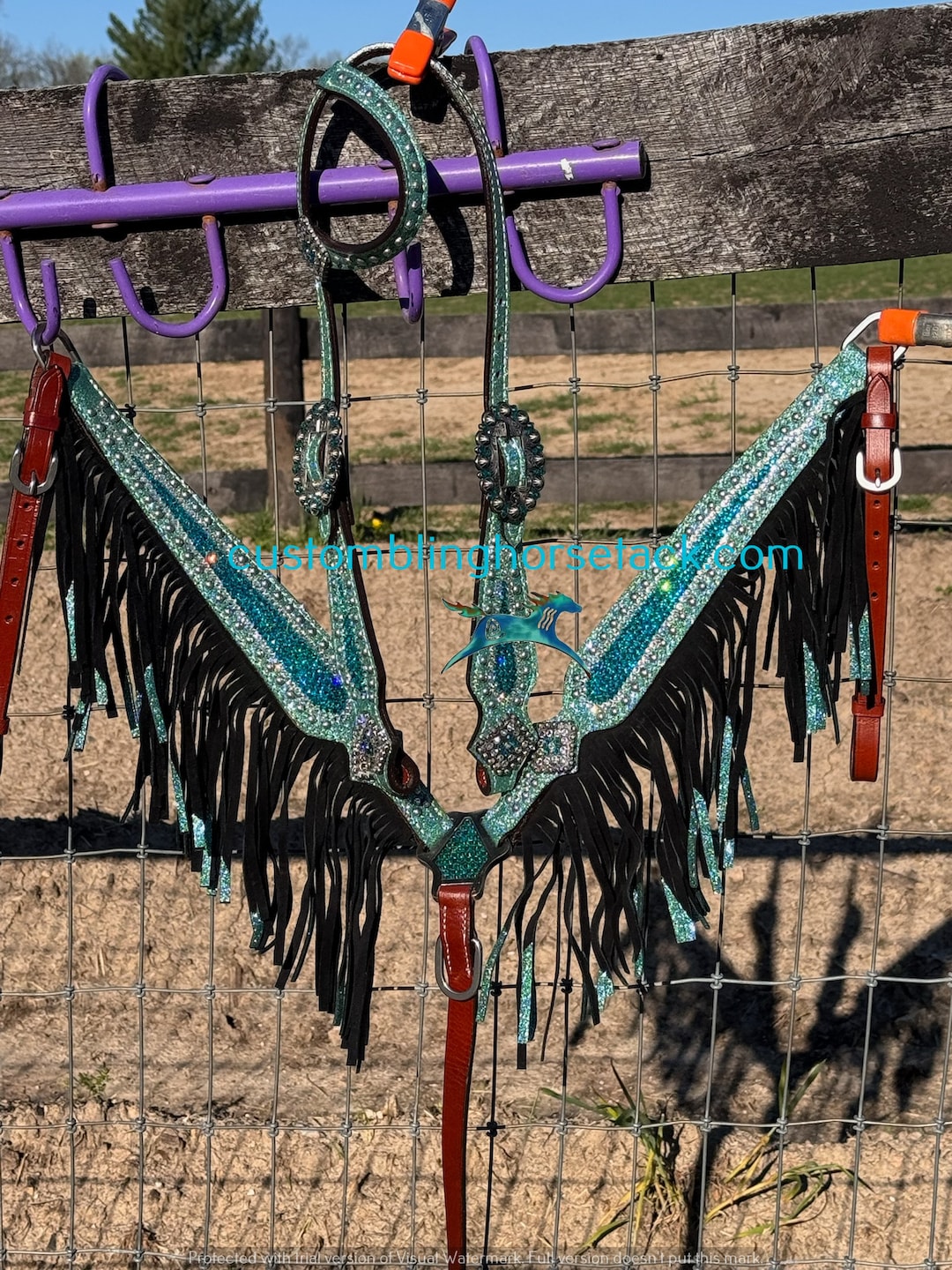 New Style Full Turquoise & Clear Crystal Bridle Collar Set Fringe ...