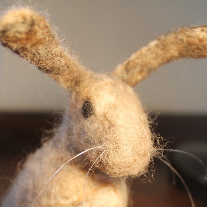 Jackrabbit Eggs - Etsy