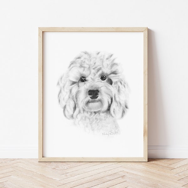 Cavapoo - Etsy