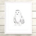 Snowy Owl Nursery Print, Arctic Owl Sketch, Baby Animal Pencil Drawings ...