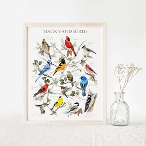 Backyard Birds Art Print, Garden Bird Illustration, Bird Poster, Garden ...