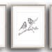 Bird Sketch Art Prints, Set of 3 Grey Birds, Bird Art Gift Set, British ...