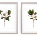 Magnolia Floral Prints, Set of 2 Flower Prints, Farmhouse Decor ...
