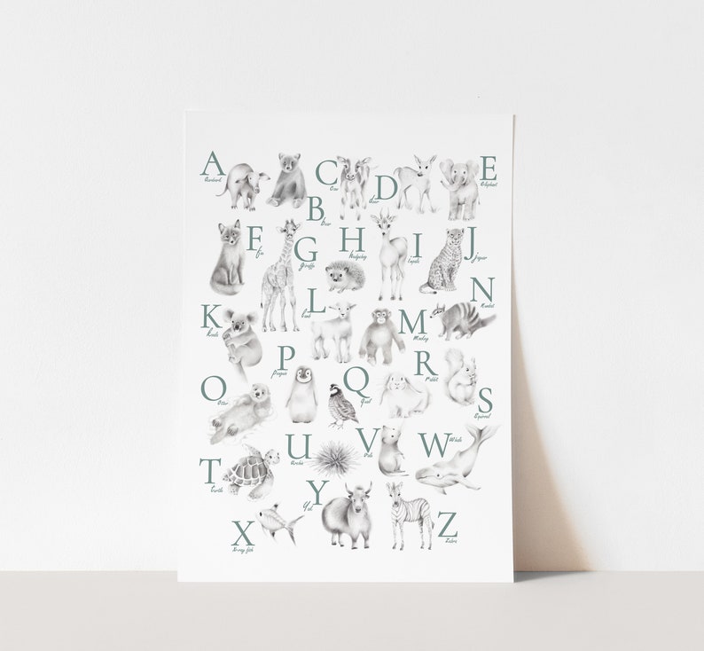 Animal Alphabet Print, Kids ABC Poster, Nursery Pencil Sketch Art - Etsy