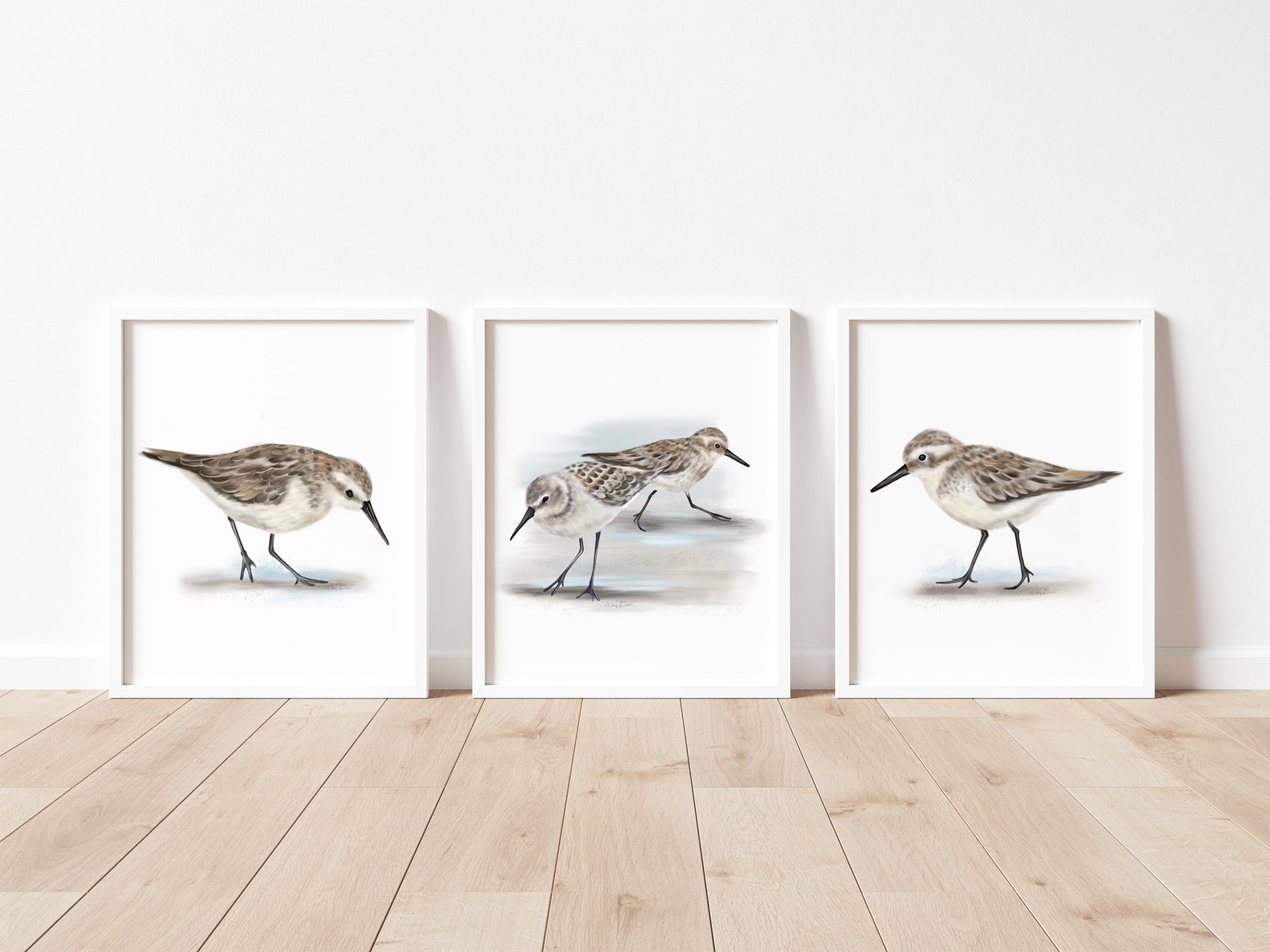 Sandpiper Bird Art Prints: Coastal Watercolor Paintings, Set of 3 - Etsy
