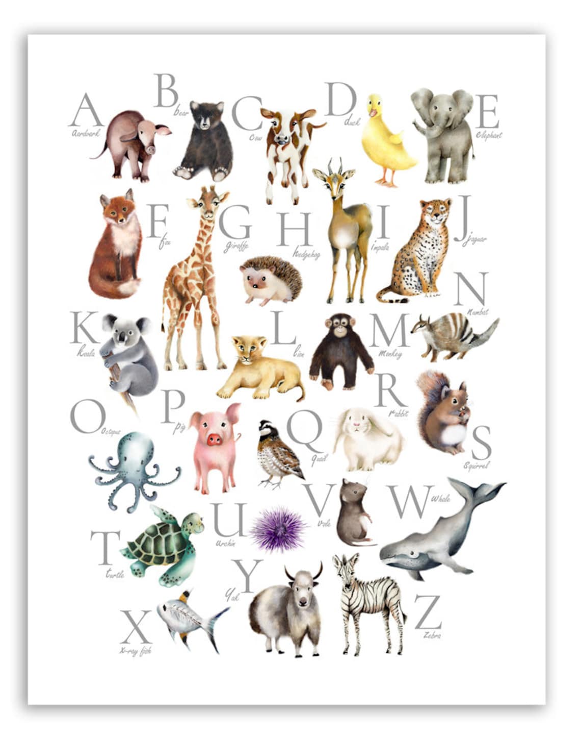 Animal Alphabet Number Print Set Gender Neutral Baby Print | Etsy