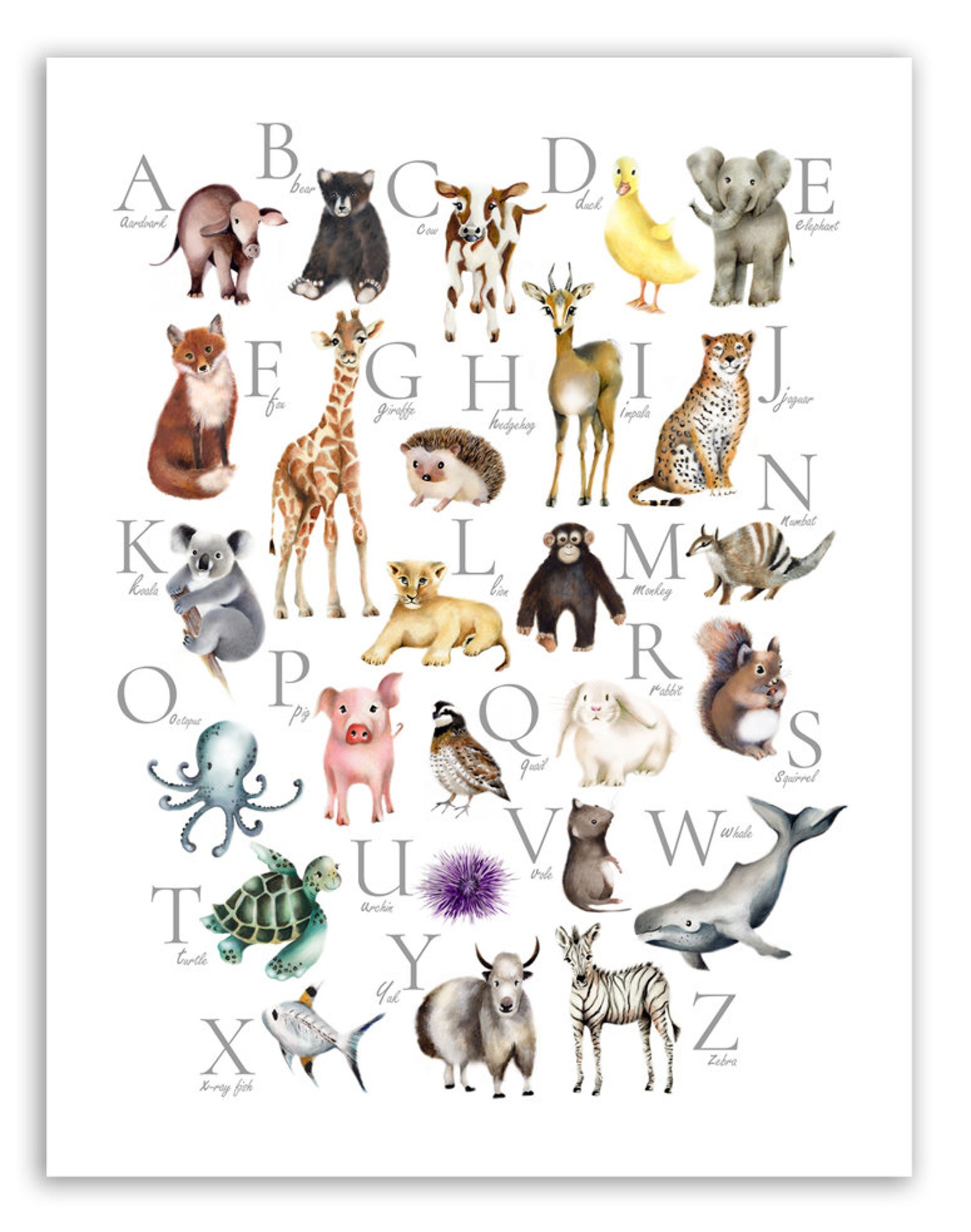 Animal Alphabet Number Print Set Gender Neutral Baby Print | Etsy