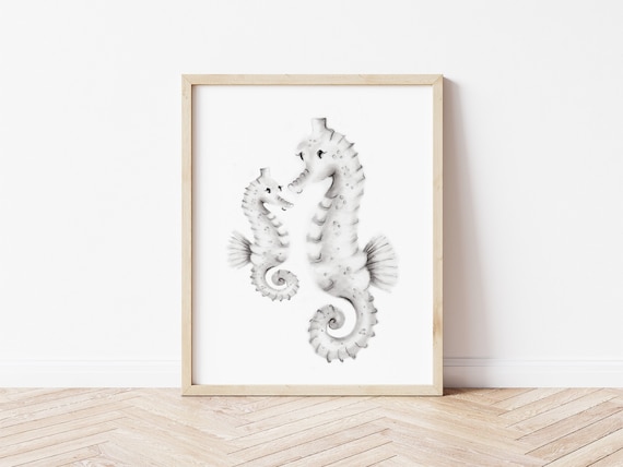 Seahorse Pencil Drawing