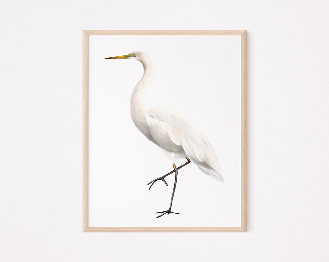Great Egret Bird Painting, Tall White Wading Bird Picture, Nature Bird ...