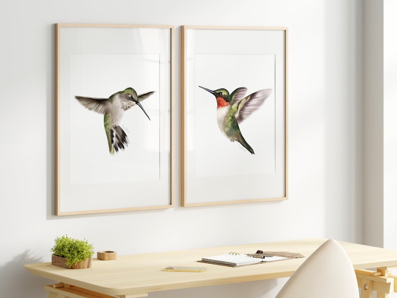 Set of 2 Hummingbird Art Prints Male and Female Flying - Etsy