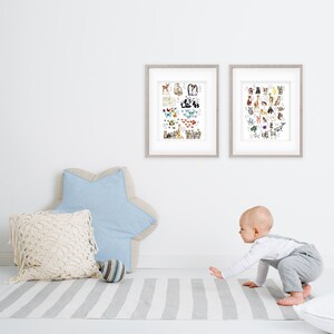 Animal Alphabet Number Print Set, Gender Neutral Baby Print, Animal ...