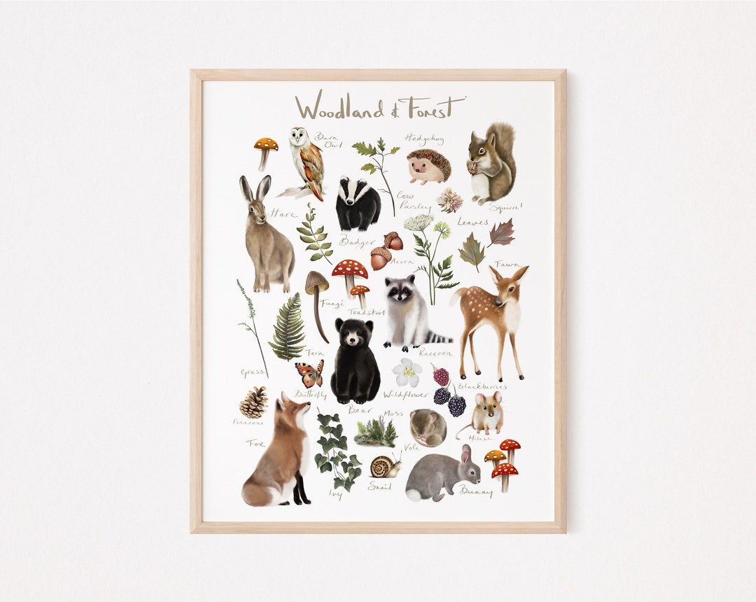 Woodland Animal Poster, Baby Room Forest Wall Decor, Woodland Nursery ...