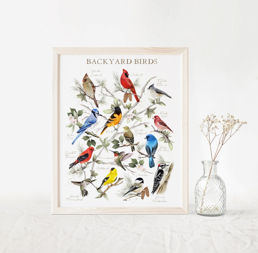 Backyard Birds Art Print, Garden Bird Illustration, Bird Poster, Garden ...