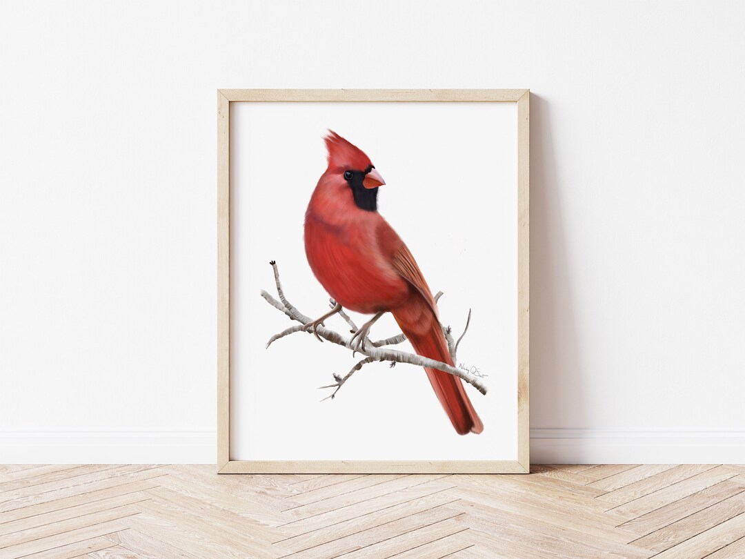 Cardinal Bird Art Print Bird Art Gift Nature Bird Print - Etsy