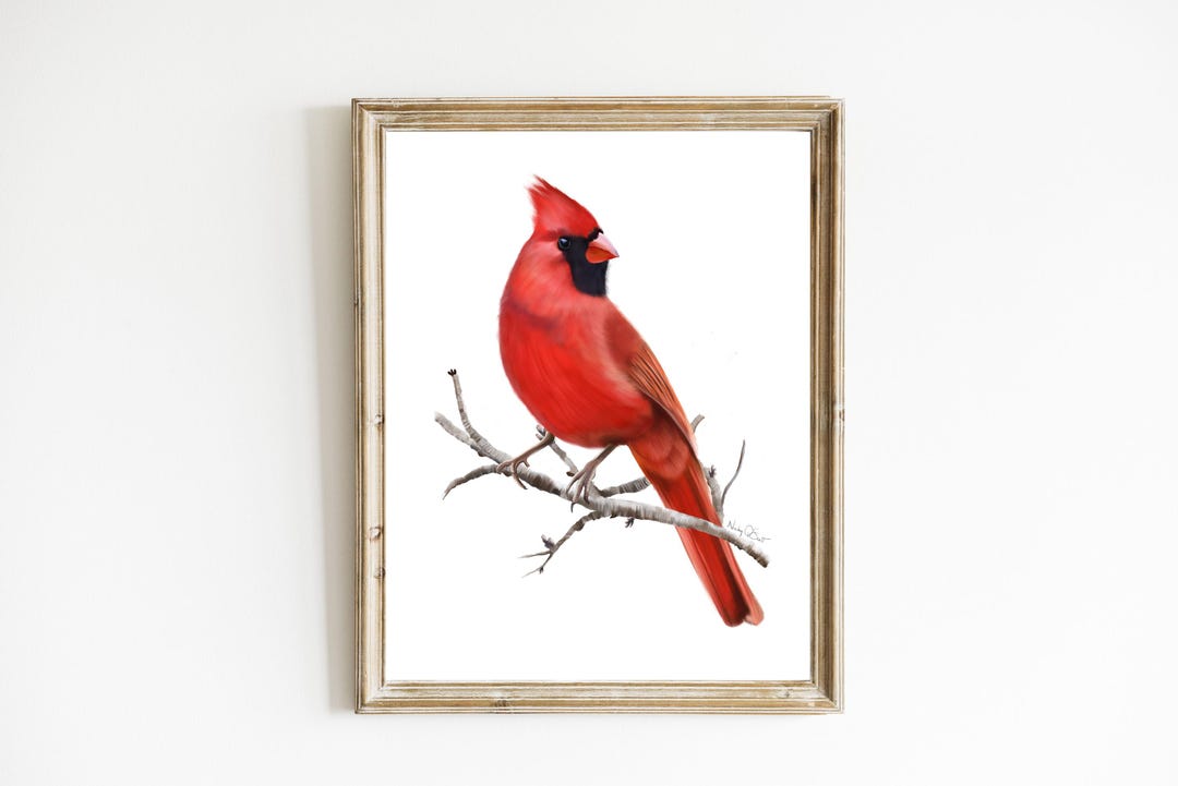 Red Cardinal Print: Backyard Garden Bird on Branch Art - Etsy