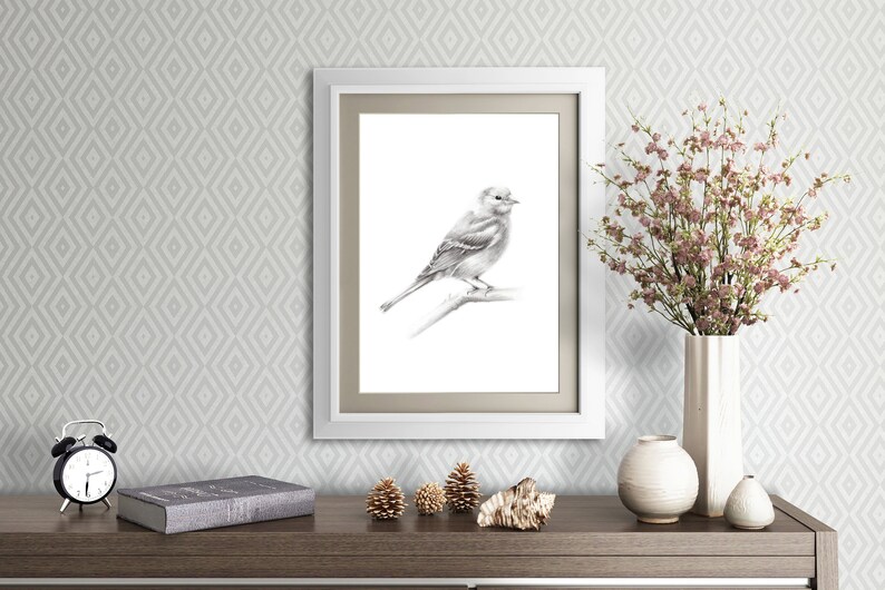 Bird Pencil Drawing Print Bird Gift Grey Bird Picture - Etsy