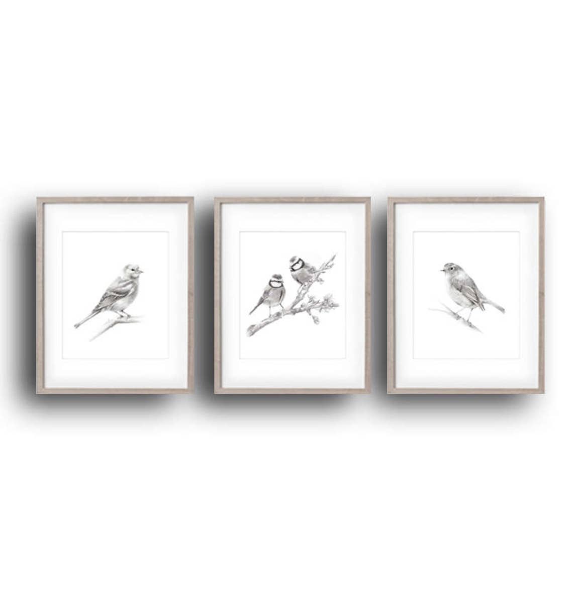 Bird Sketch Art Prints Set of 3 Grey Birds Bird Art Gift | Etsy
