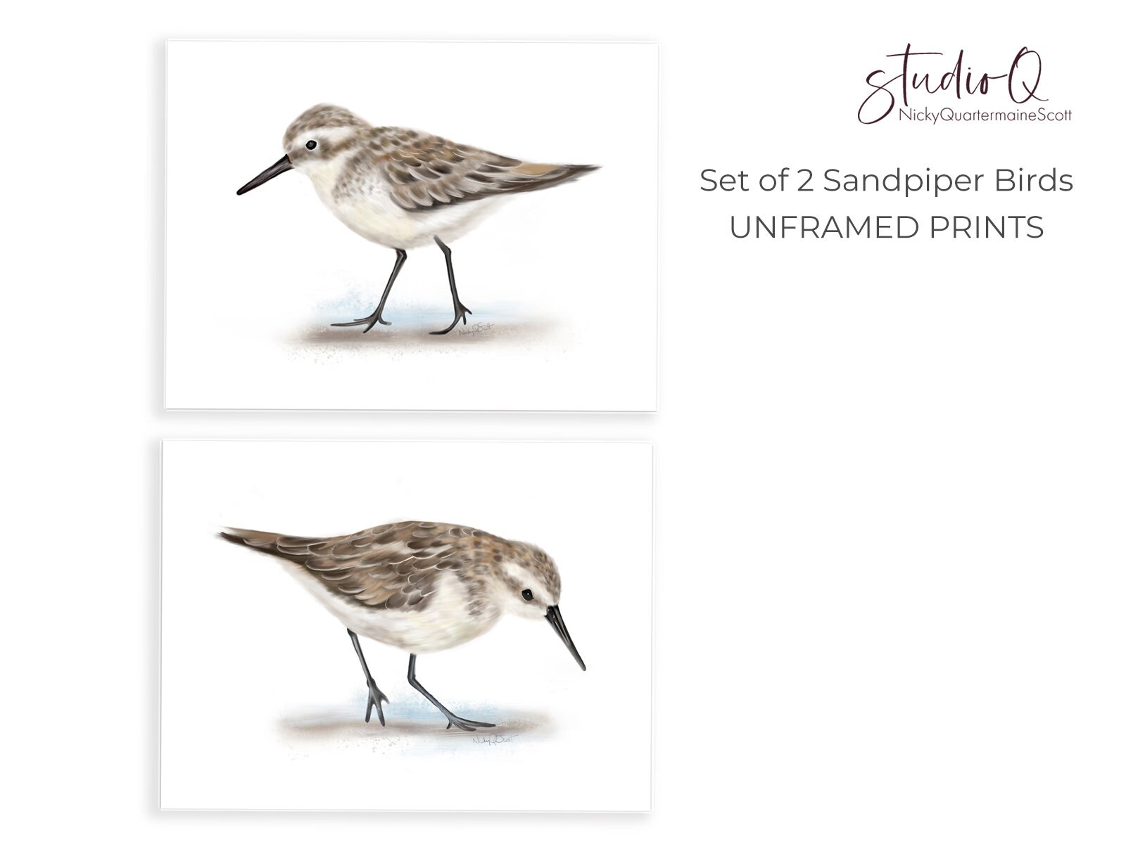 Sandpiper Bird Prints: Coastal Shorebird Art, Set of 2 - Etsy