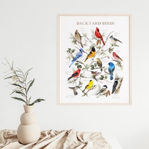 Backyard Birds Art Print, Garden Bird Illustration, Bird Poster, Garden ...