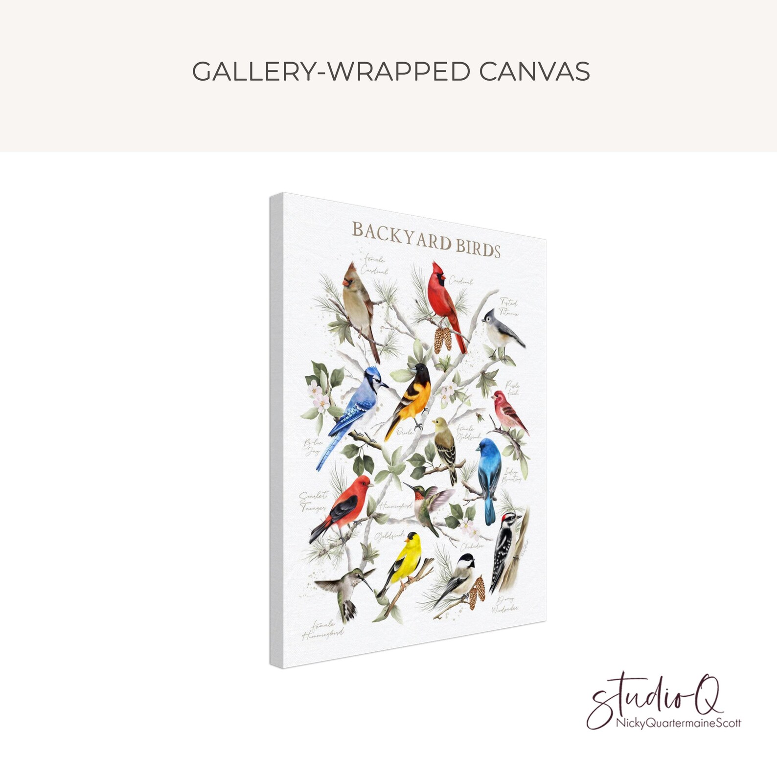 Backyard Birds Art Print: USA Garden Bird Illustration - Etsy
