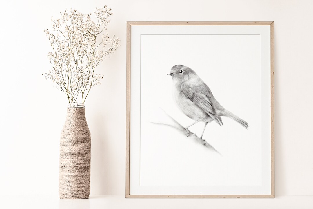 Robin Bird Drawing Print, Bird Art Gift, Bird Wall Decor, Robin ...