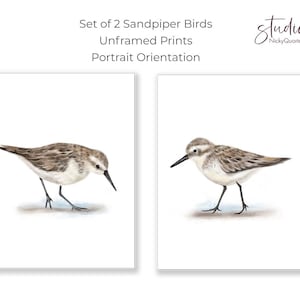 Sandpiper Bird Prints: Coastal Shorebird Art, Set of 2 - Etsy
