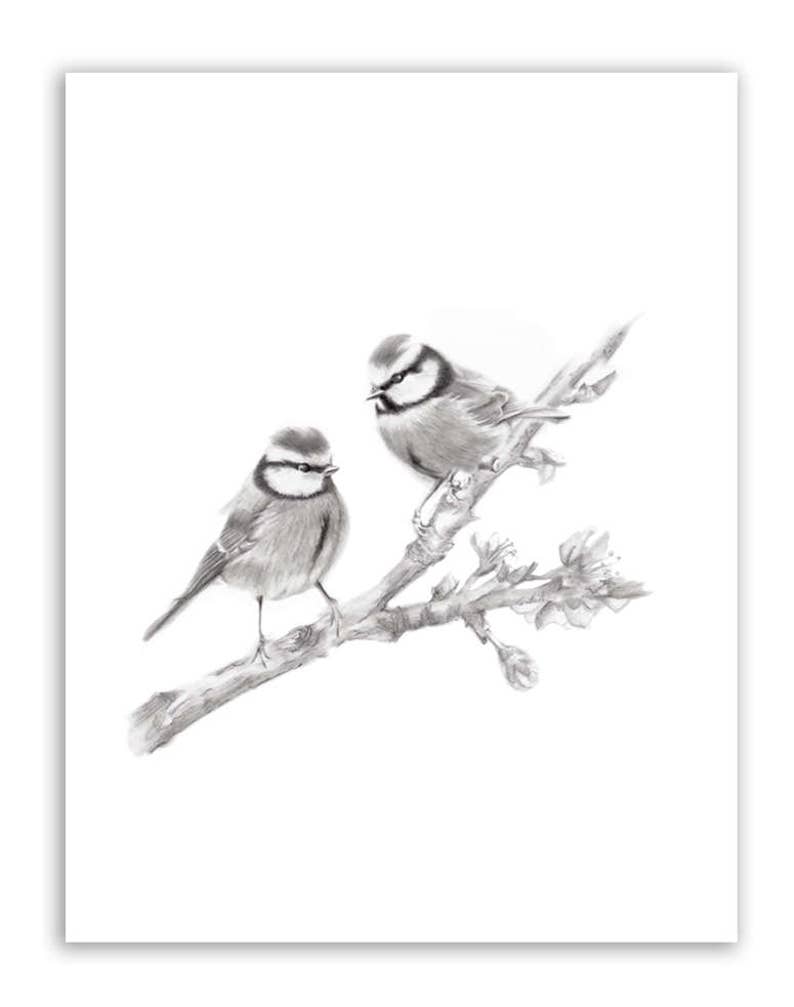 Bird Sketch Art Prints Set of 3 Grey Birds British Bird | Etsy