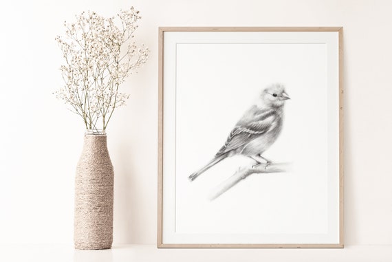 Bird Pencil Drawing Print Bird Gift Grey Bird Picture - Etsy