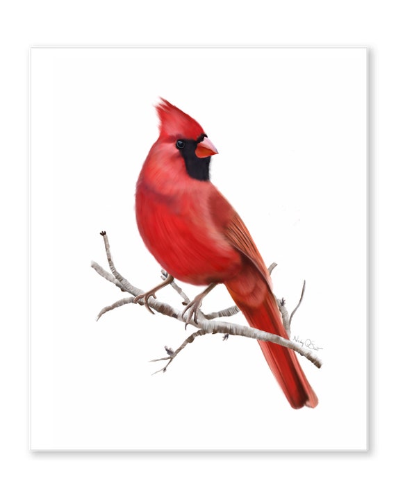 Indiana State Bird