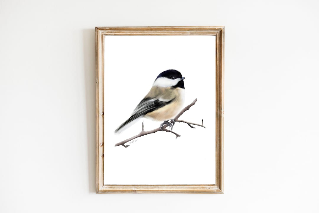 Chickadee Print, Bird Art Gift, Chickadee Art Print, Print for Bird ...