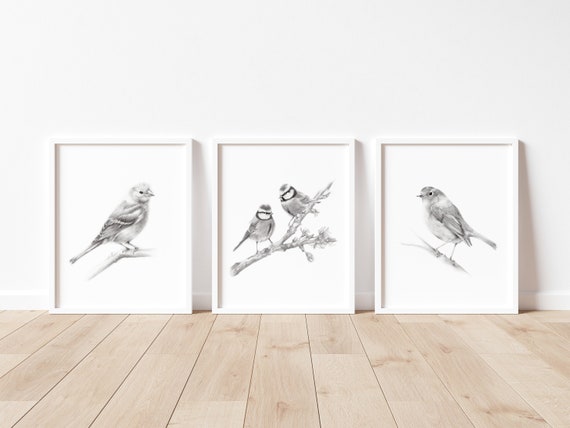 Bird Sketch Art Prints Set of 3 Grey Birds Bird Art Gift - Etsy