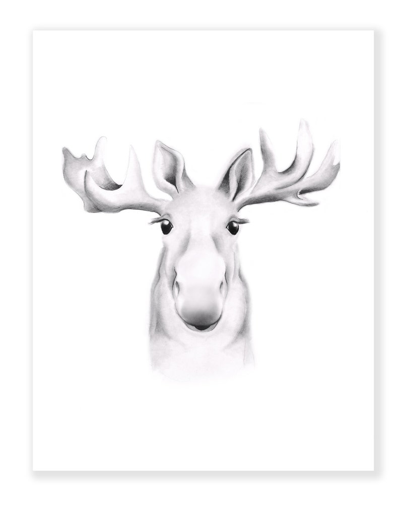 Moose Face Nursery Print Baby Animal Sketch Rustic Nursery - Etsy