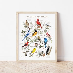 Backyard Birds Art Print, Garden Bird Illustration, Bird Poster, Garden ...