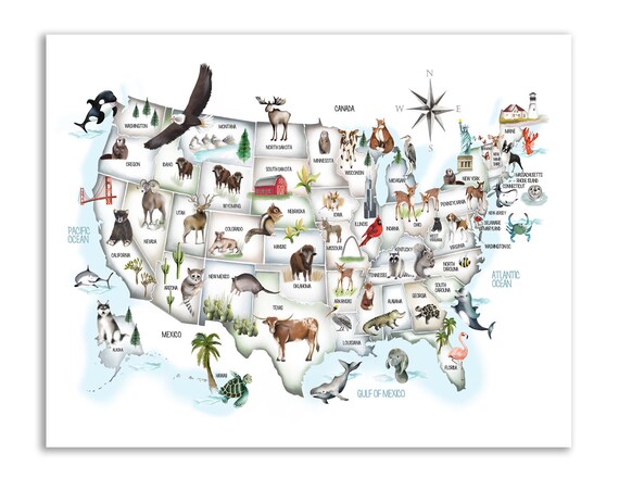 USA Map for Kids Baby Animal Nursery Map Print Map | Etsy