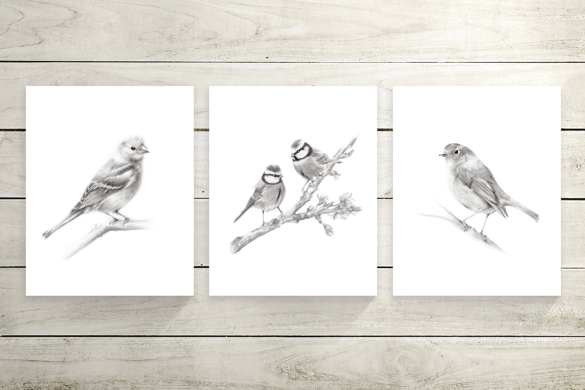 Bird Sketch Art Prints Set of 3 Grey Birds Bird Art Gift | Etsy