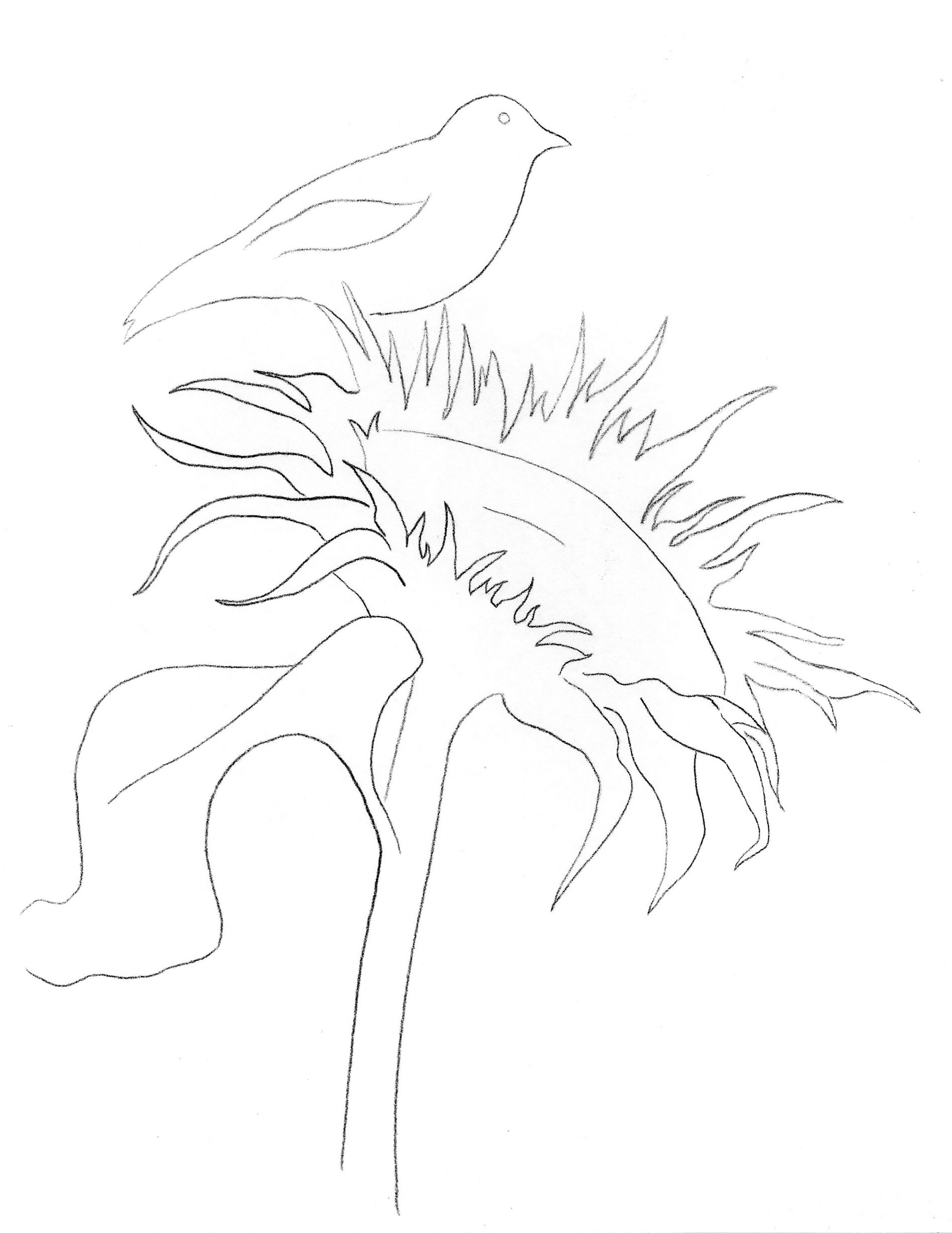 Goldfinch Bird on a Sunflower Template Transfer for | Etsy