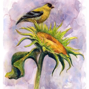 Goldfinch Bird on a Sunflower Template Transfer for - Etsy