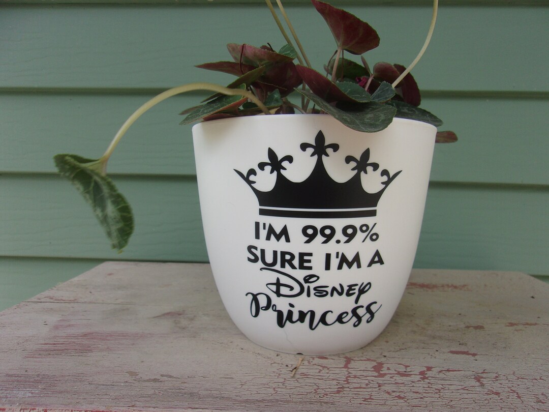 Disney Princess Plant Pot - Etsy