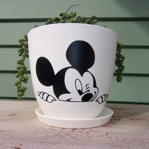 Mickey and Minnie Duo Planter Pot - Etsy