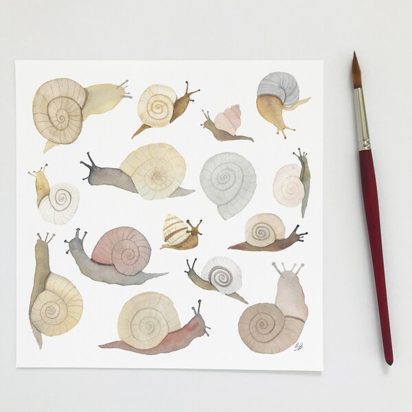 Snail Art Print - Etsy