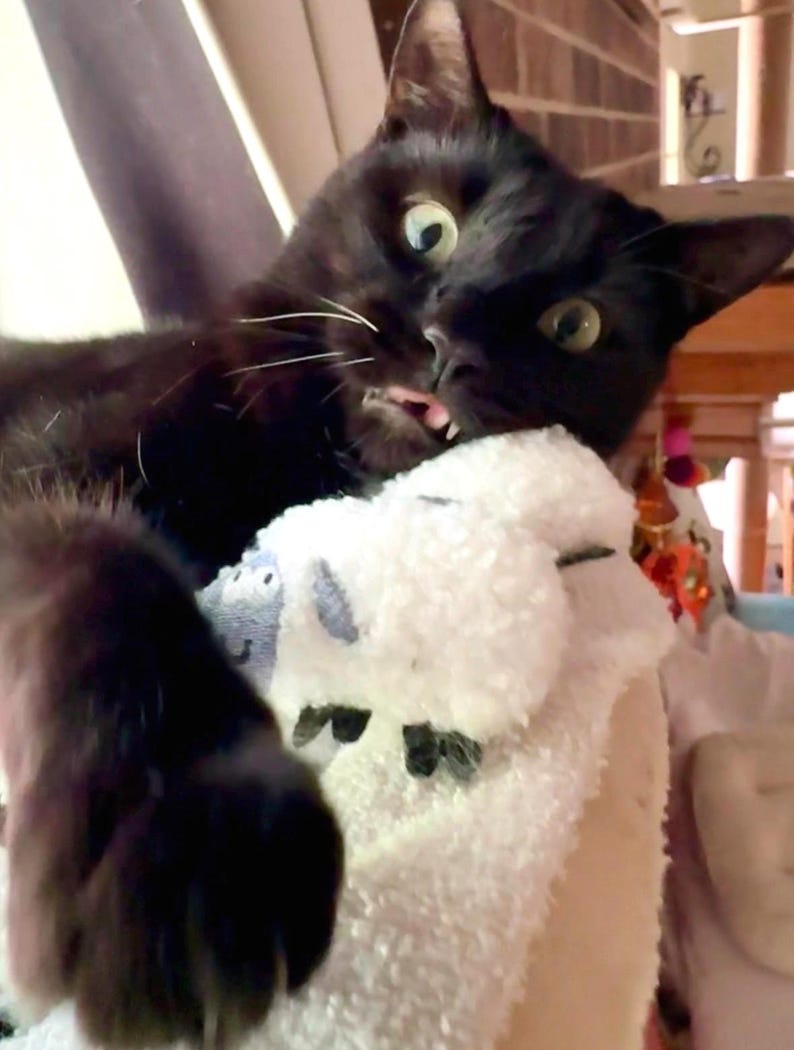 Handmade Happy Sheep Cat Toy: Plush Lamb Gift With Optional Catnip - Etsy
