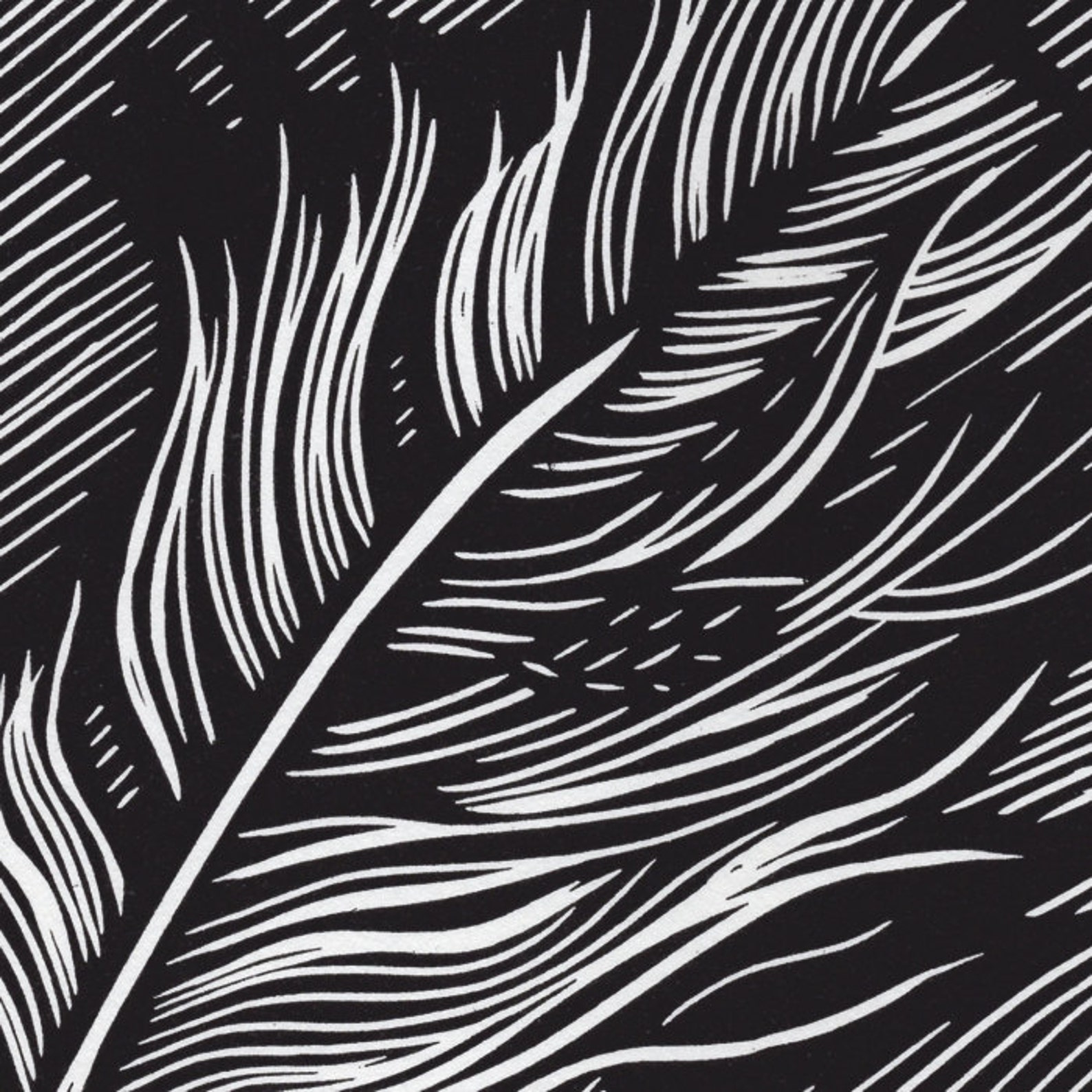 Feather Lino Print - 'the Fabled Feather' by Jennifer Rampling - - Etsy UK