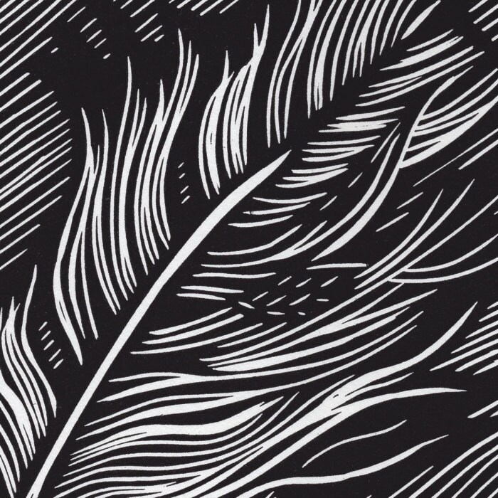Feather Lino Print - 'the Fabled Feather' by Jennifer Rampling - - Etsy UK