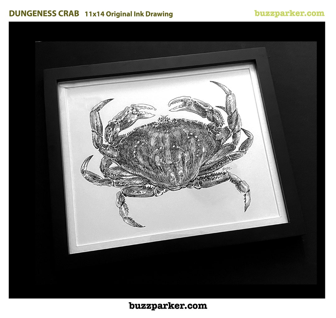 Dungeness Crab #1/1 Original 11x11 Framed Ink Drawing by Buzz Parker ...