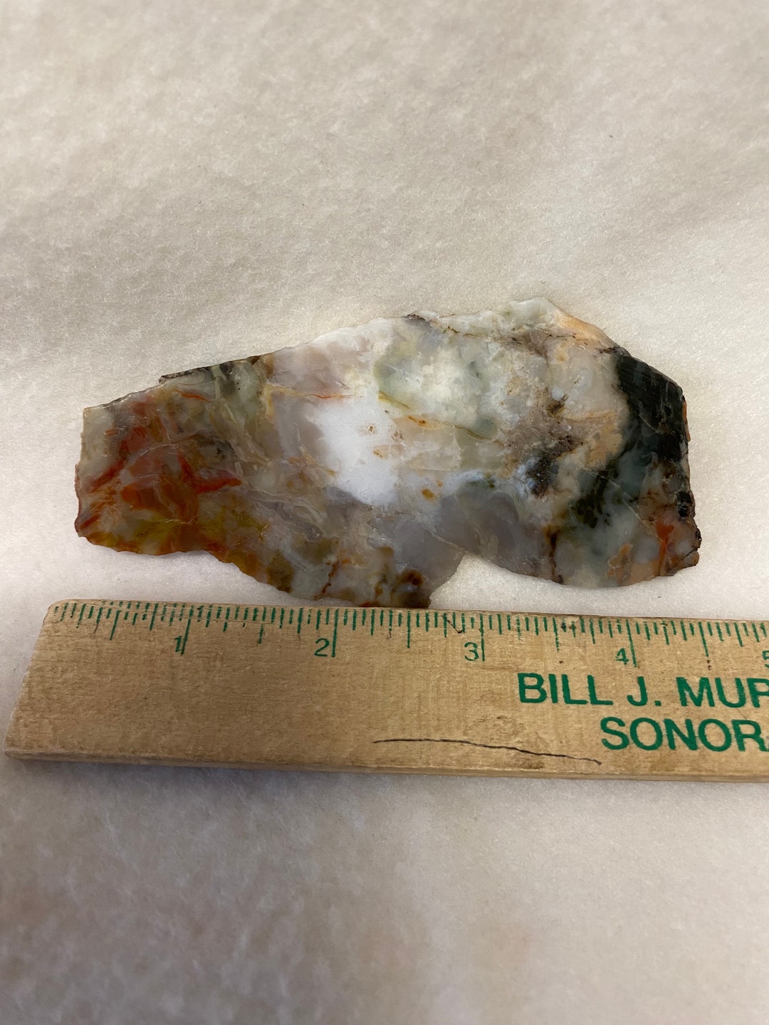 Slab: Coprolite Slabs - Etsy