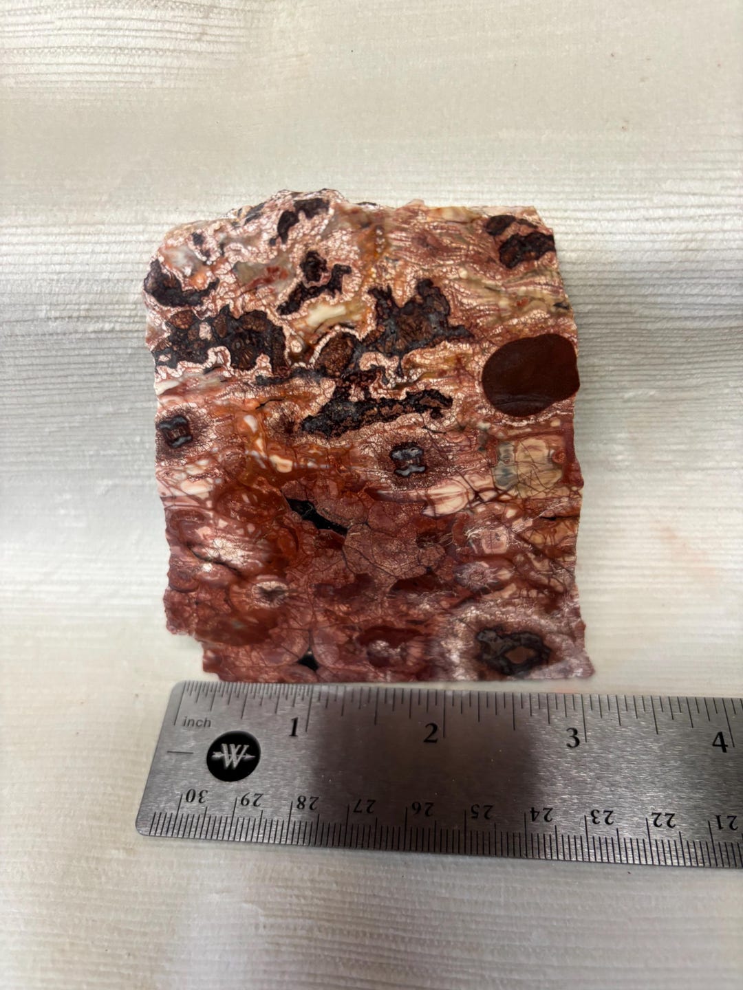 Slabs: Birds Eye Rhyolite - Etsy